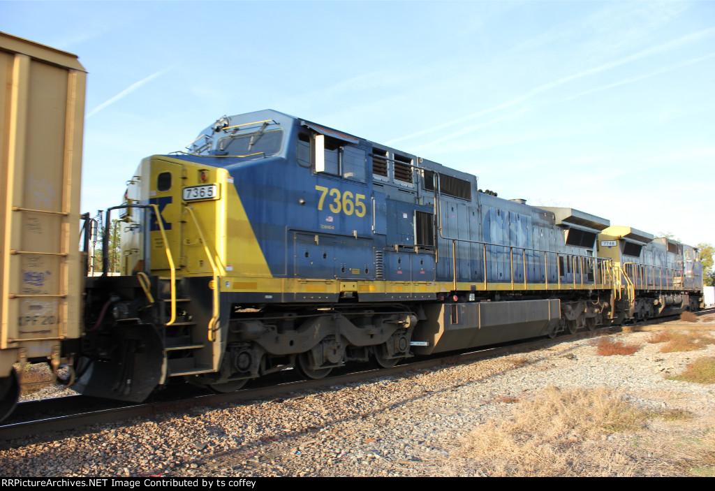 CSX 7365